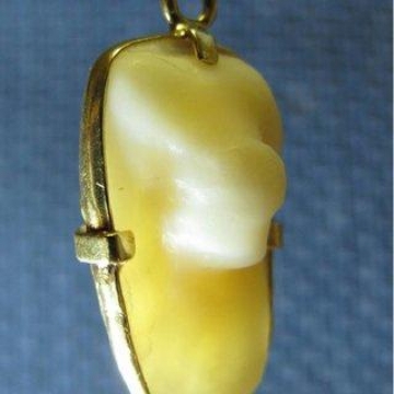 Uranoscopus Scabe 【PEZ RATA】 | Ficha Técnica Completa