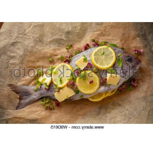 Spondyliosoma Cantharus. 【CHOP】 | Folha Técnica Completa